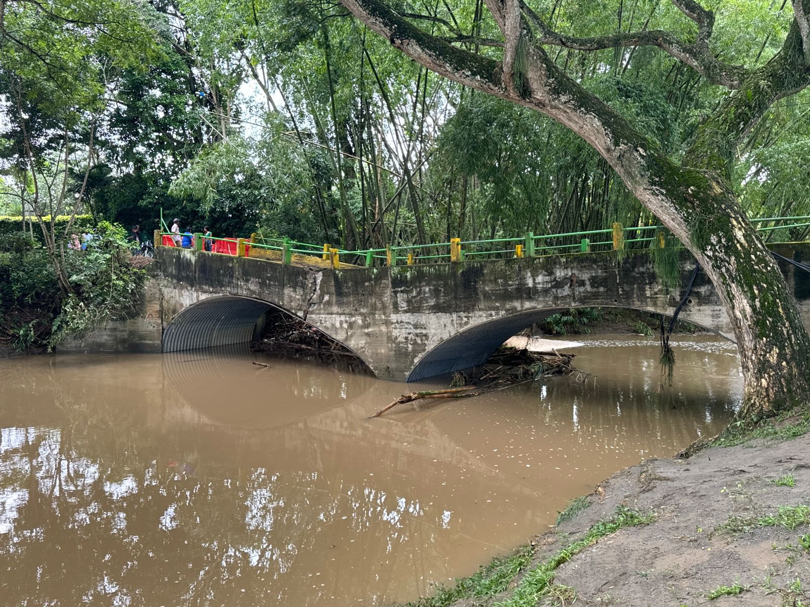 Ola invernal en Zarzal, Valle del Cauca causa destrozos, tumba puente ...